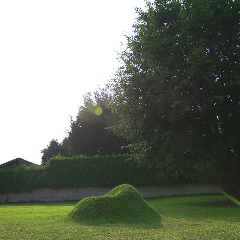 Terra Grass Sessel von Studio Nucleo